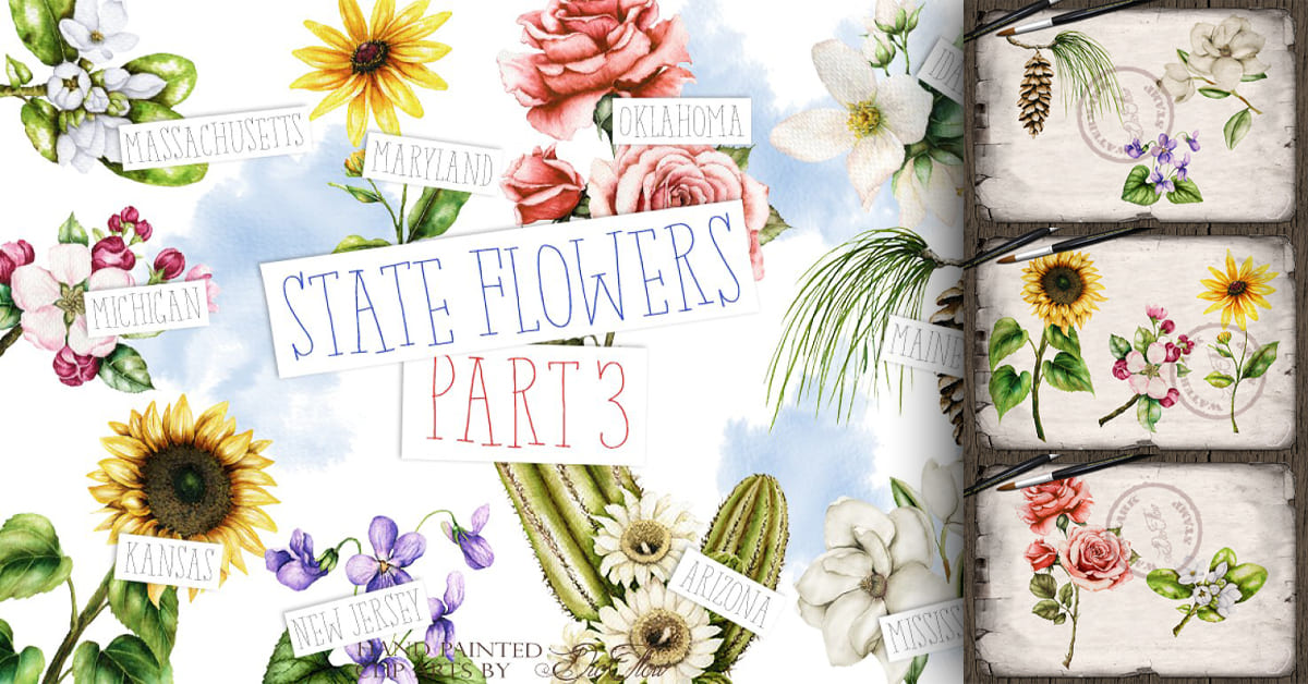 US State Flowers Part 3 Illustration – MasterBundles