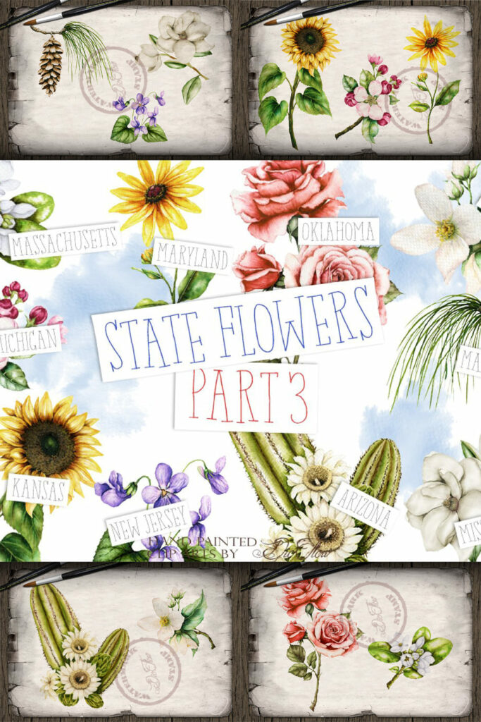 US State Flowers Part 3 Illustration – MasterBundles
