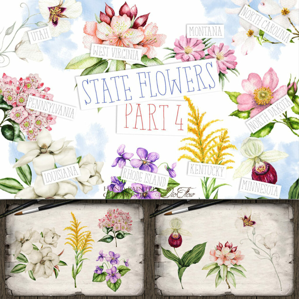 US State Flowers Part 4 Illustration – MasterBundles