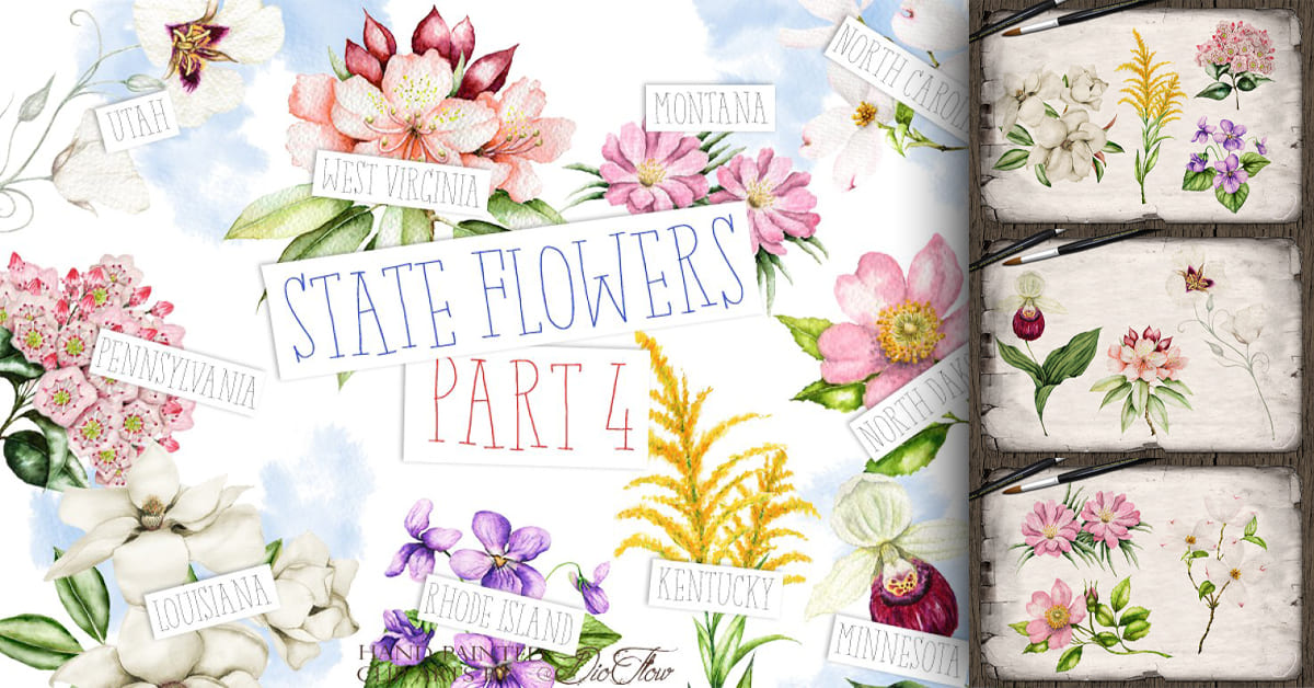US State Flowers Part 4 Illustration – MasterBundles