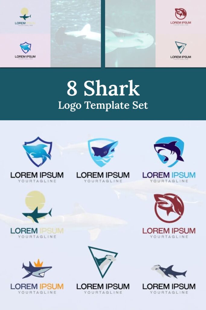 8 Shark Logo Template Set – MasterBundles