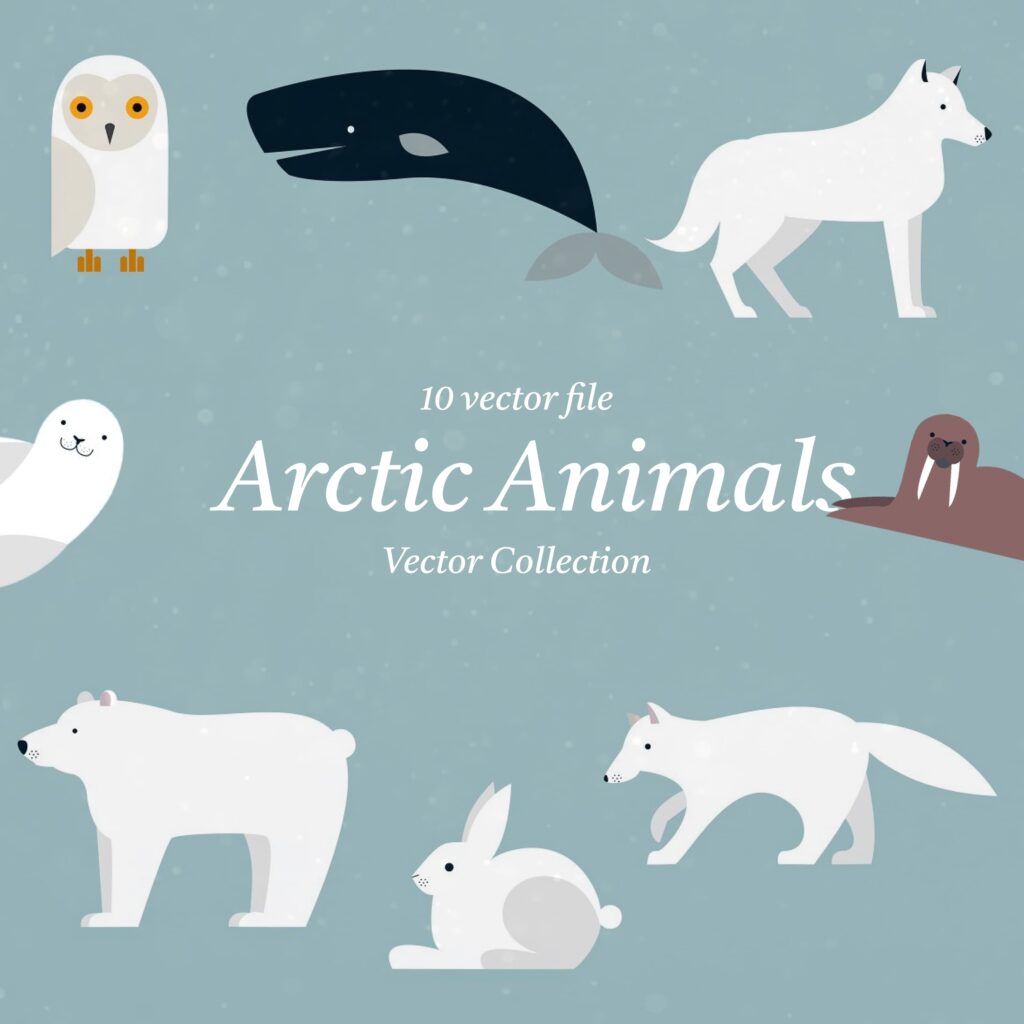 Arctic Animals Vector Collection – MasterBundles