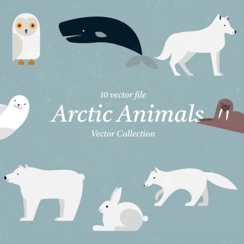 Arctic Animals Vector Collection – MasterBundles
