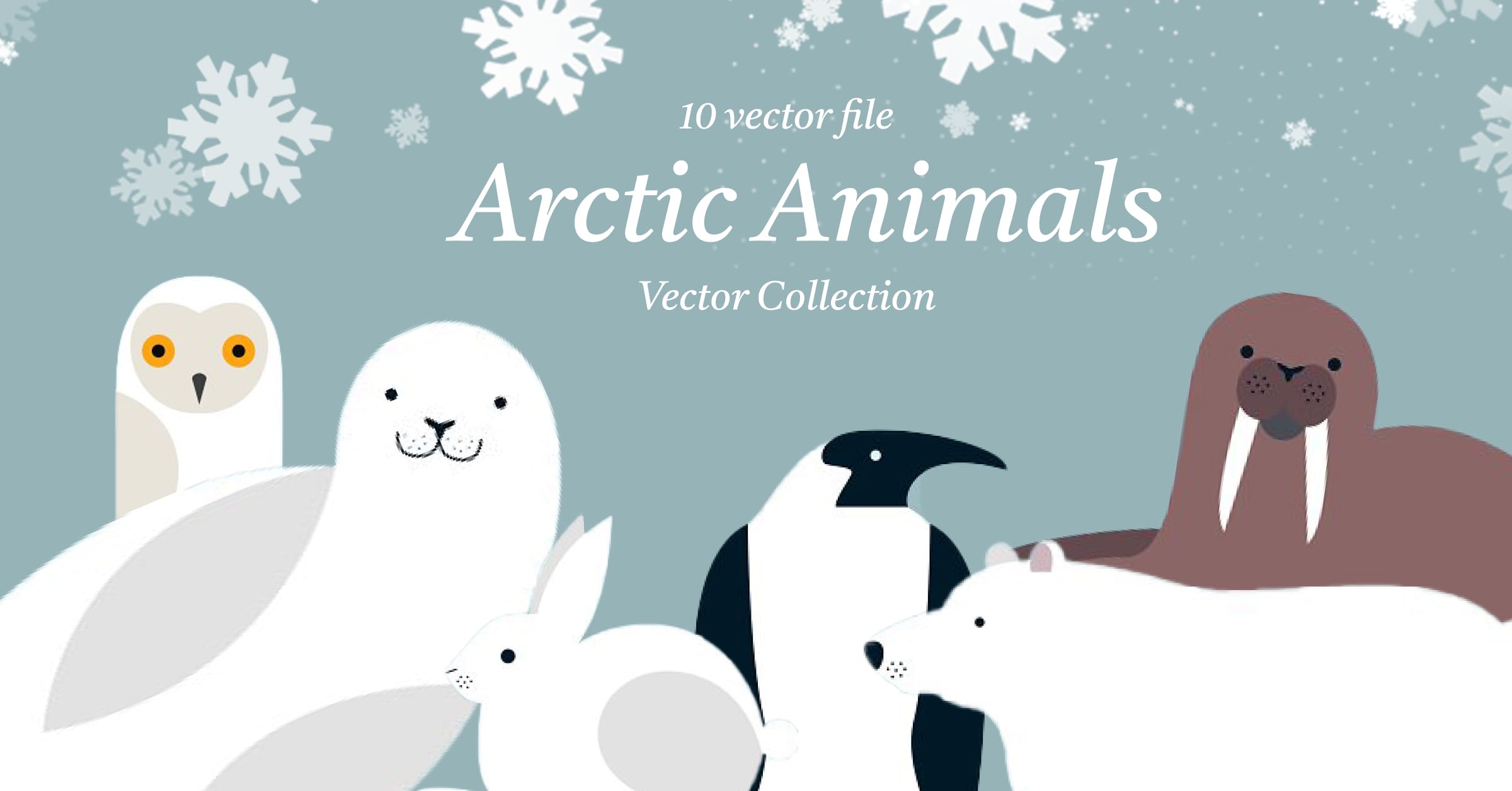 Arctic Animals Vector Collection – MasterBundles