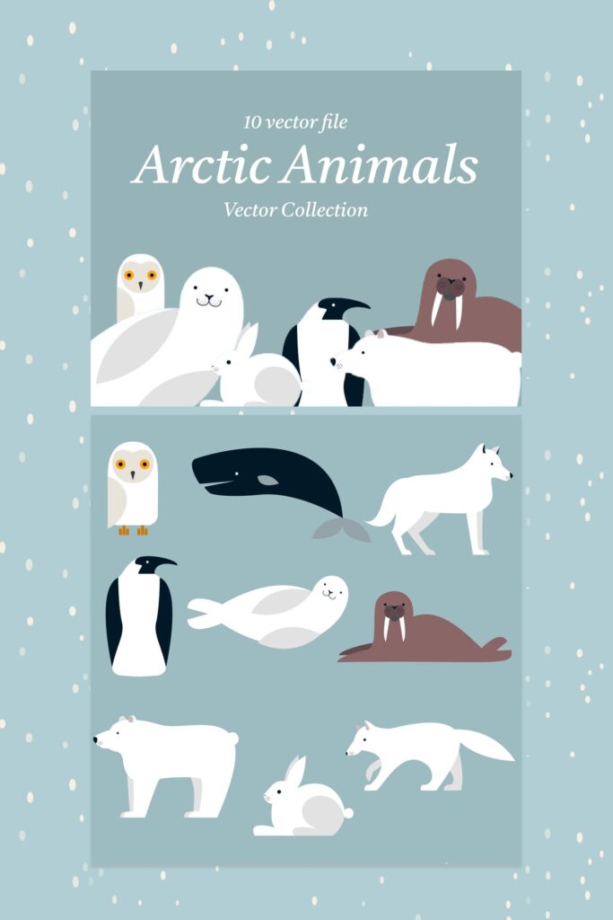Arctic Animals Vector Collection – MasterBundles