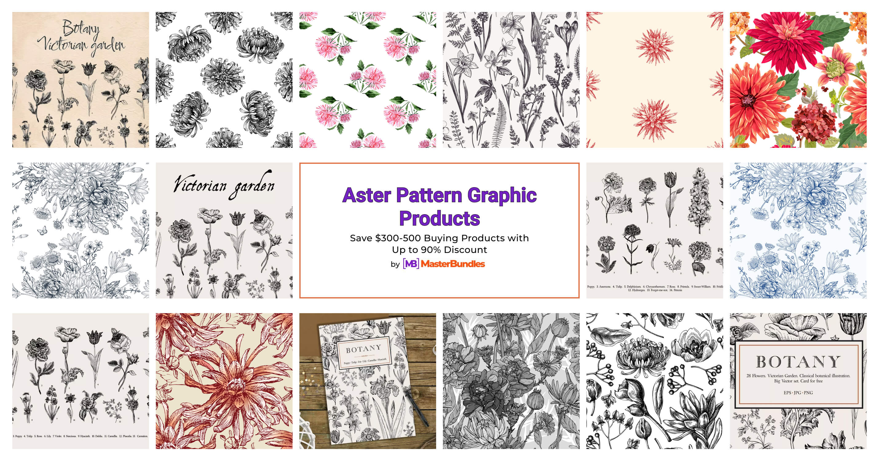 3+ Aster Pattern Graphic Products for 2024 - MasterBundles