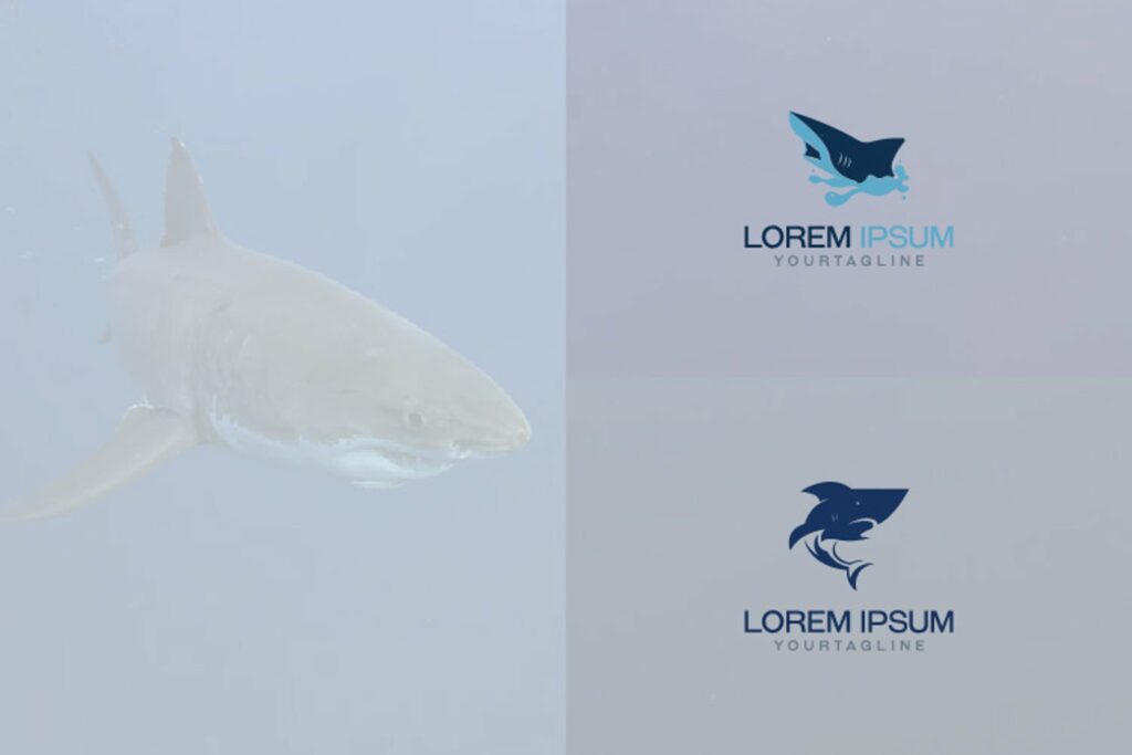 8 Shark Logo Template Set – MasterBundles