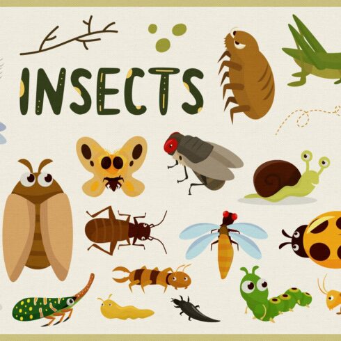 Insects and Bugs Vector Clipart & Seamless Patterns | MasterBundles