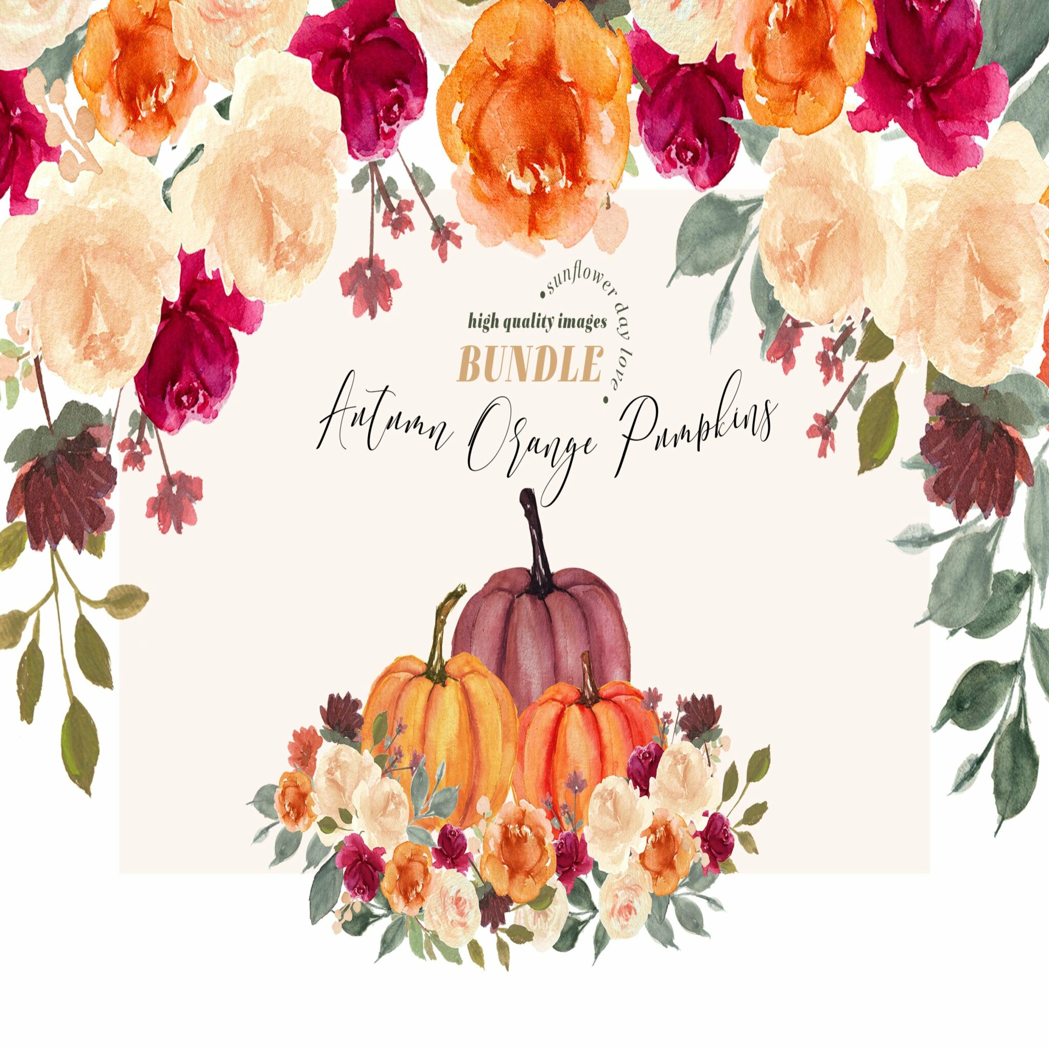 Burnt Orange Pumpkin Bundle Clipart | Master Bundles