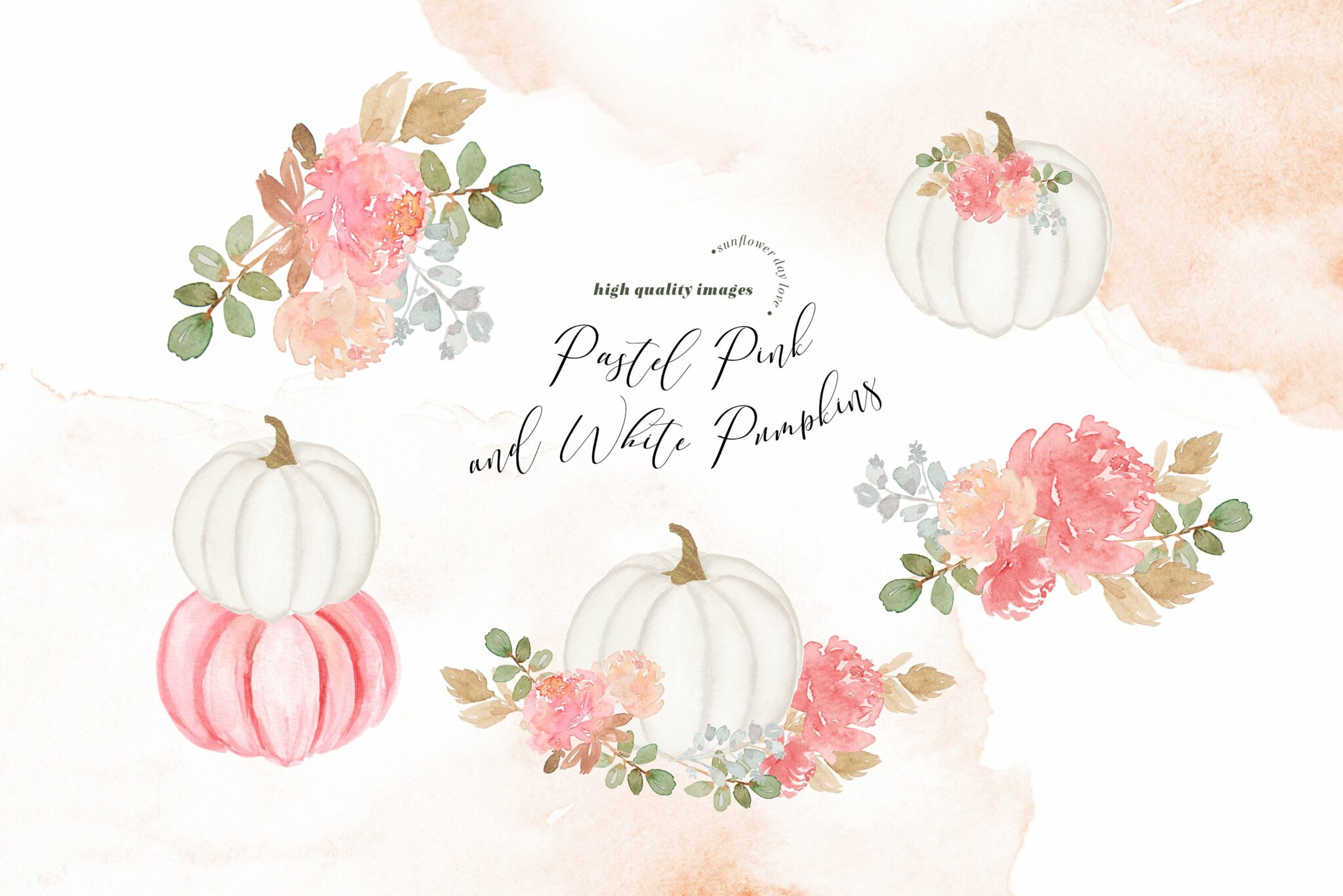Pastel Pink & White Pumpkin Clipart | Master Bundles