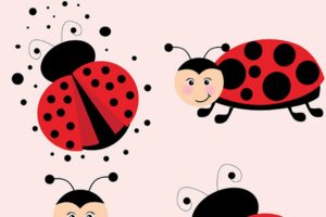 Red Ladybug Clipart | Master Bundles