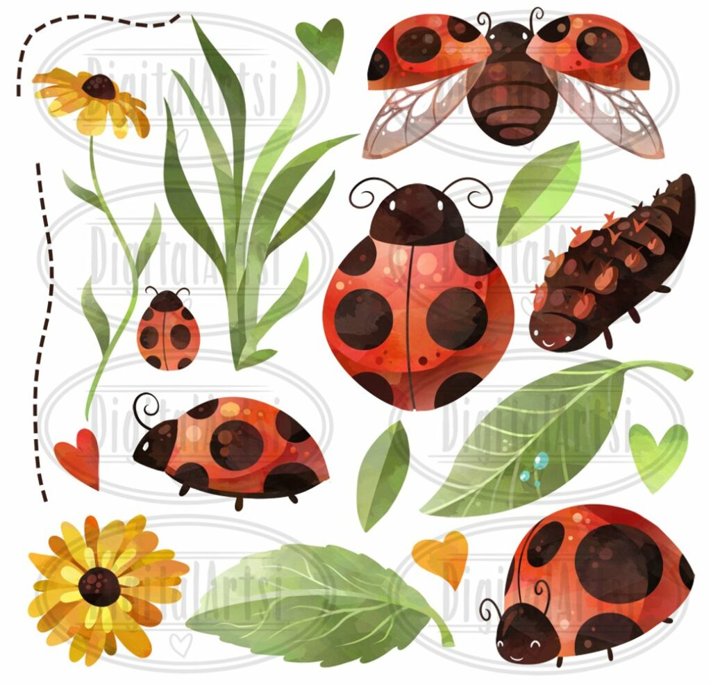 Watercolor Ladybug Clipart | MasterBundles
