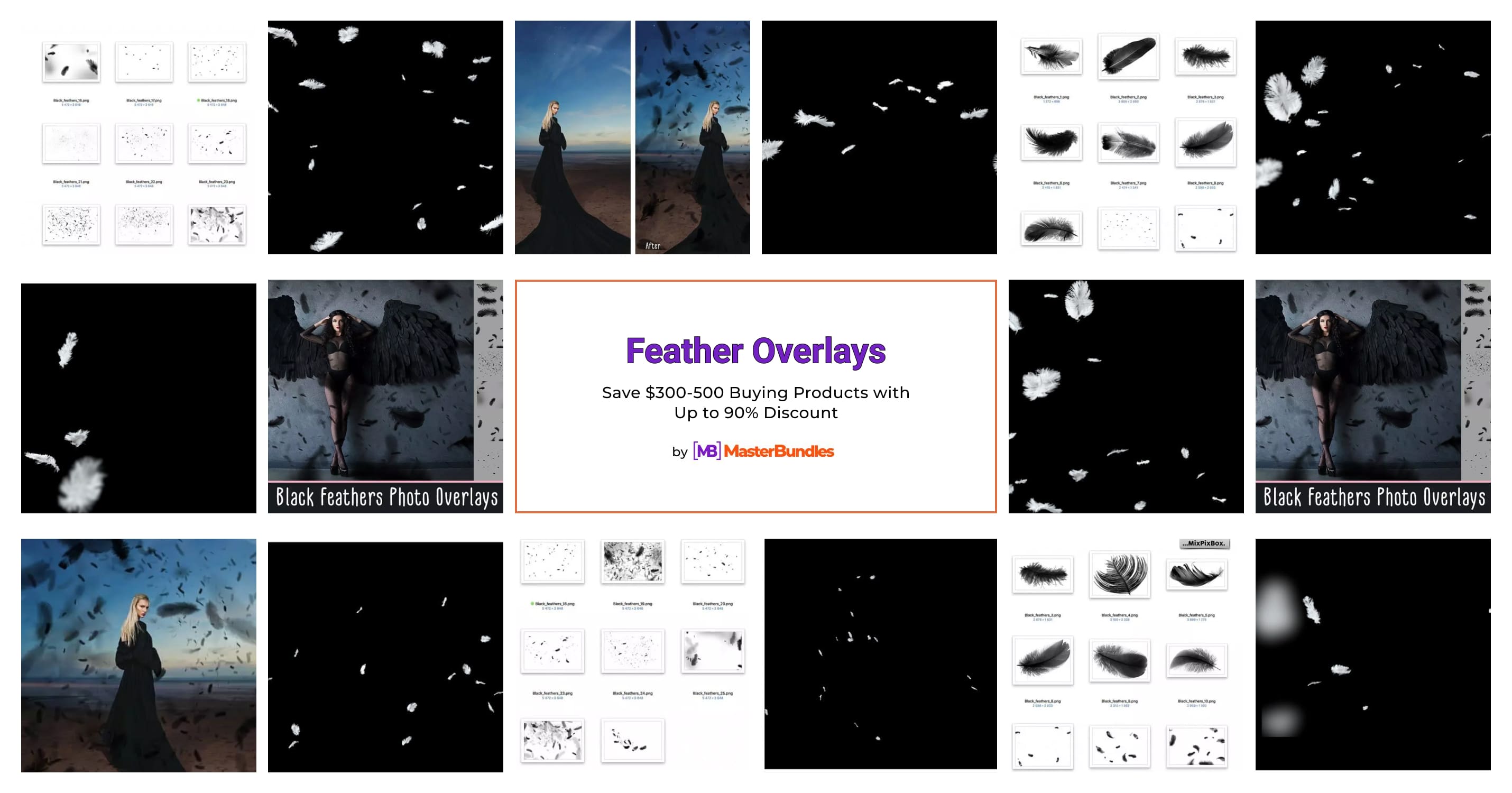 8+ Feather Overlays for 2025 - MasterBundles