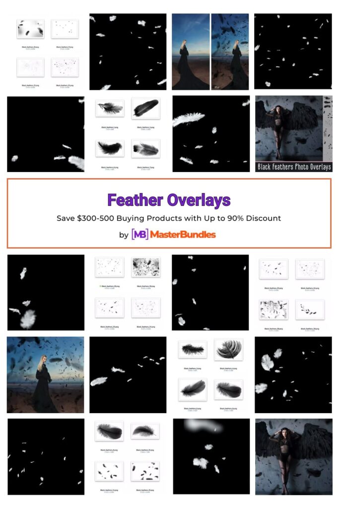8+ Feather Overlays for 2025 - MasterBundles