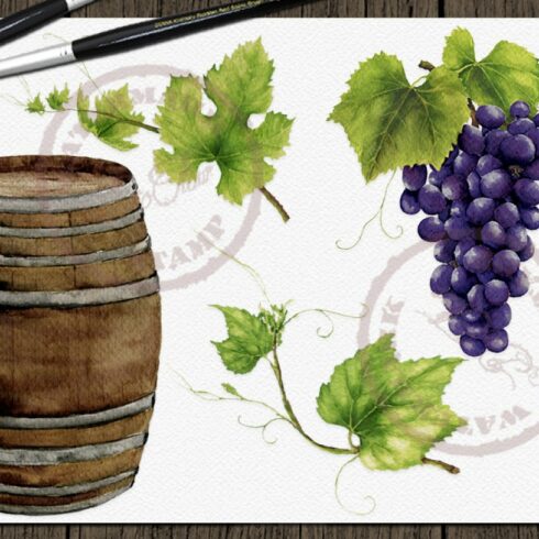 Grapes And Wine Illustration | Master Bundles