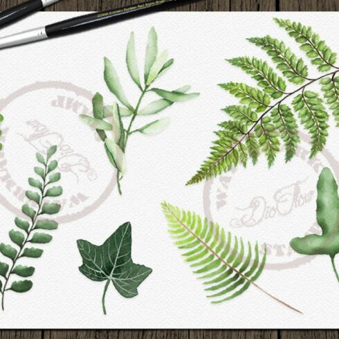 Greenery Watercolor Clipart Leaves | MasterBundles