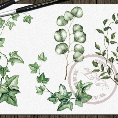Greenery III Watercolor Illustration | Master Bundles