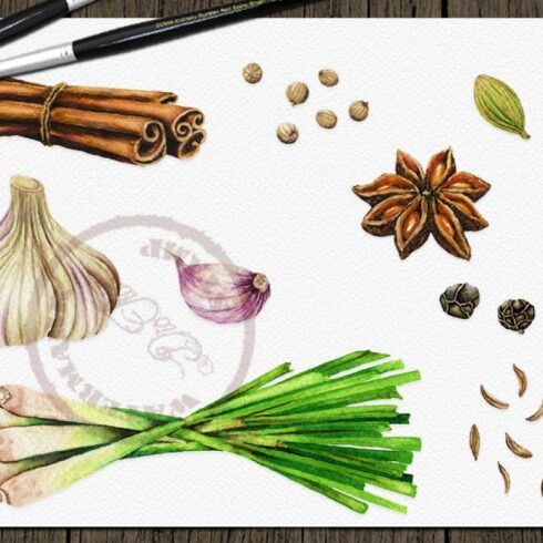 Herbs Spices Watercolor Illustration | Master Bundles