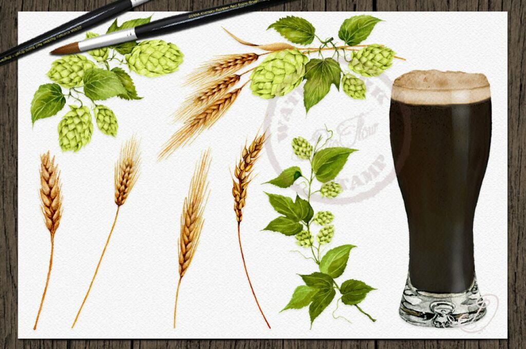 Hops And Beer Watercolor Clip Art – MasterBundles