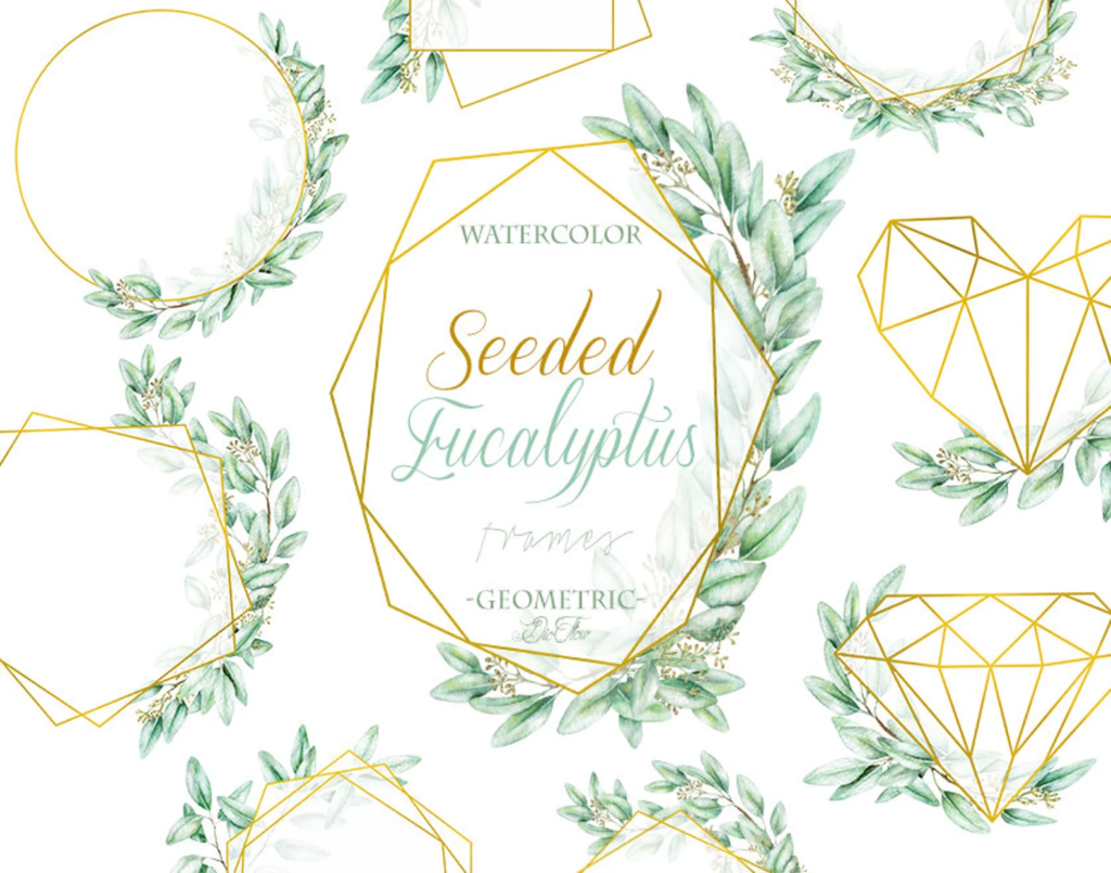 Seeded Eucalyptus Geometric Frames | Master Bundles