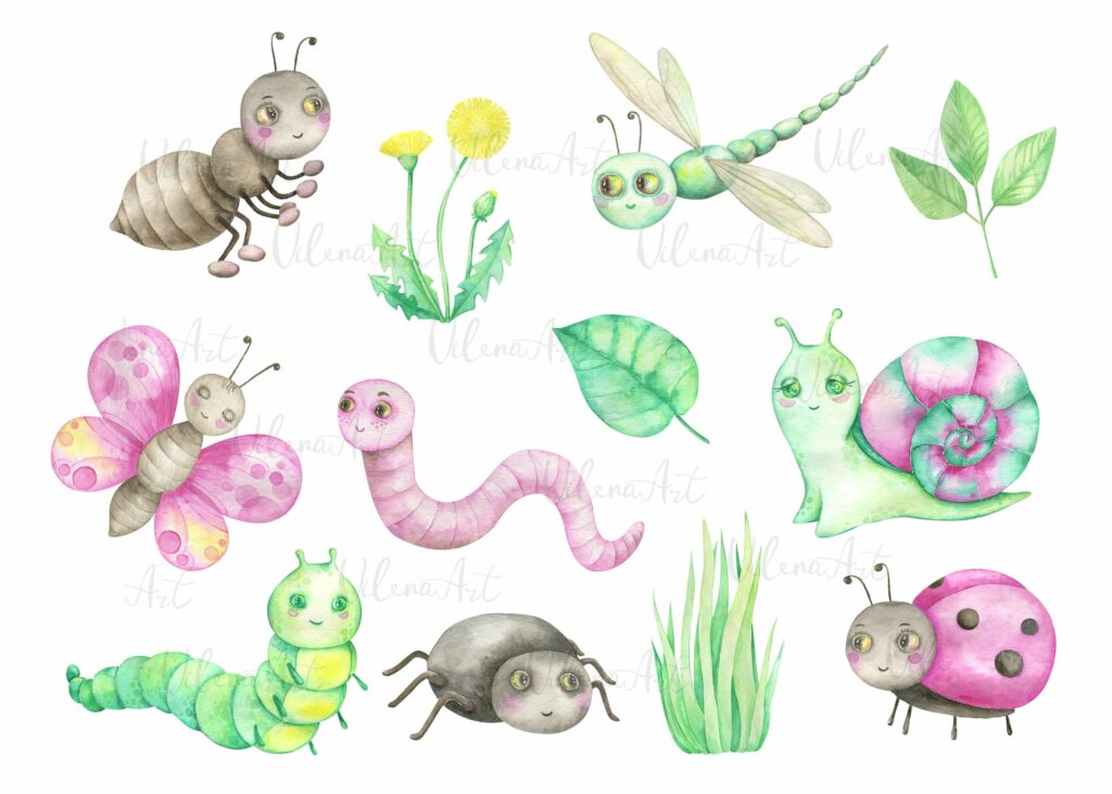 Watercolor Insects Clipart | Snail Ant Dragonfly Butterfly – MasterBundles