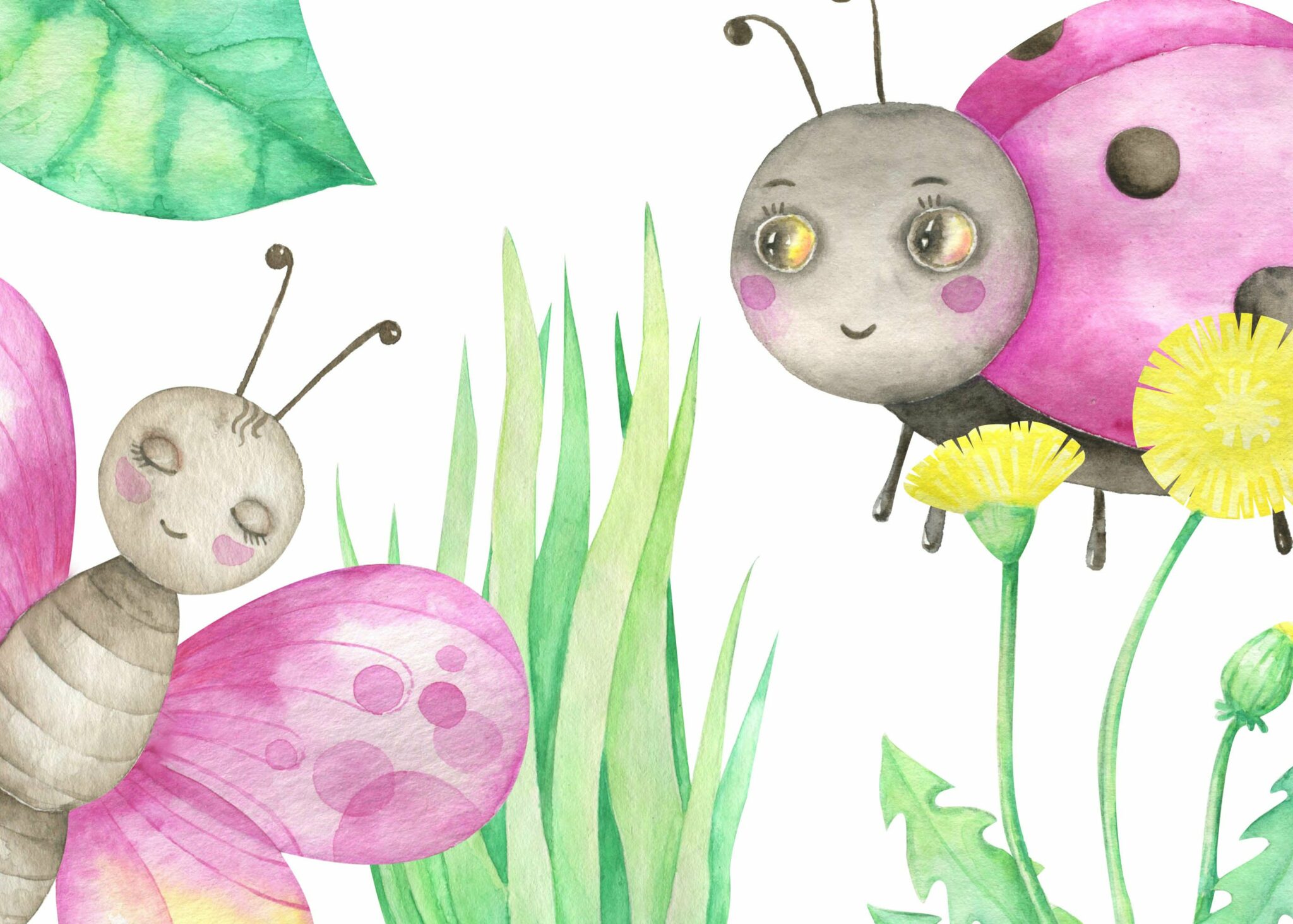 Watercolor Insects Clipart | Snail Ant Dragonfly Butterfly – MasterBundles