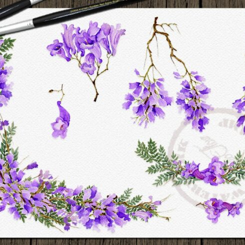 Jacaranda Watercolor Clip Art | Master Bundles