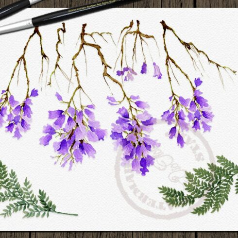 Jacaranda Watercolor Clip Art | Master Bundles