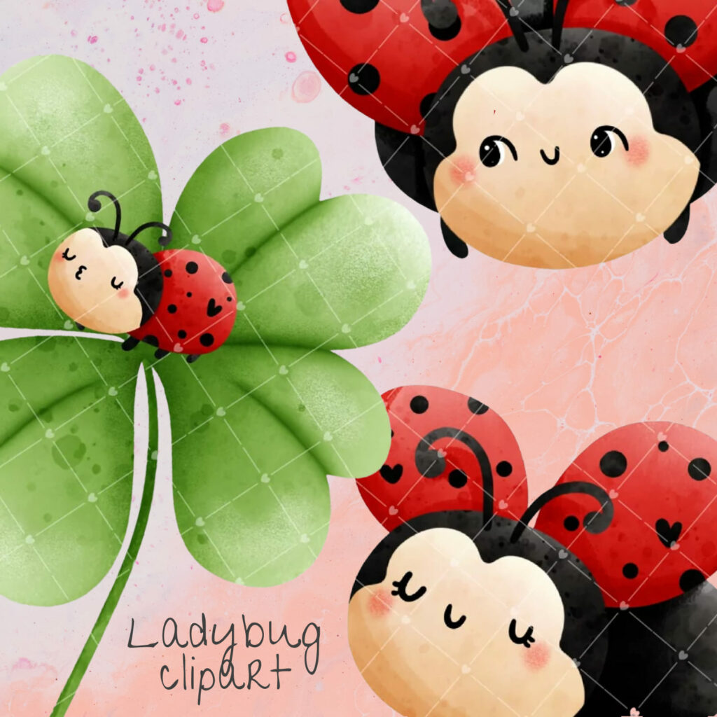 Ladybug Clipart, Cute Ladybug PNG – MasterBundles