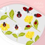 Ladybug Clipart – MasterBundles