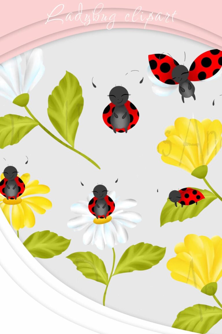 Ladybug Clipart – MasterBundles
