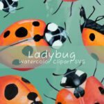 Watercolor Ladybug Clipart | MasterBundles