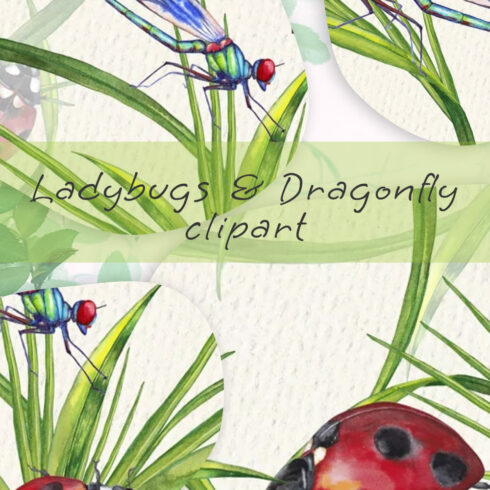 Ladybugs & Dragonfly Clipart Watercolor Sublimation Graphics | Master Bundles