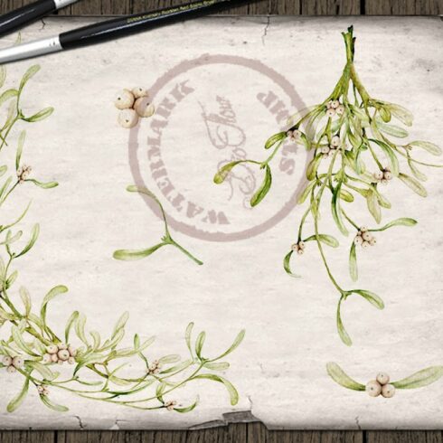 Mistletoe Watercolor Illustration | Master Bundles