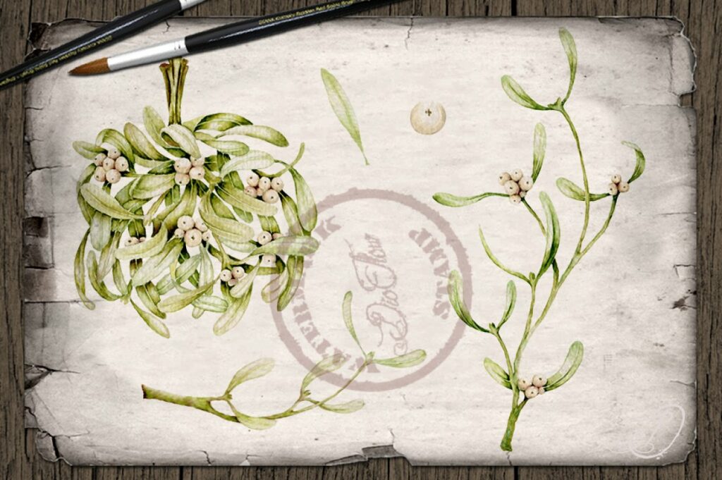 Mistletoe Watercolor Illustration – MasterBundles