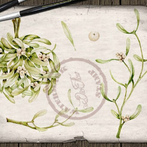 Mistletoe Watercolor Illustration | Master Bundles