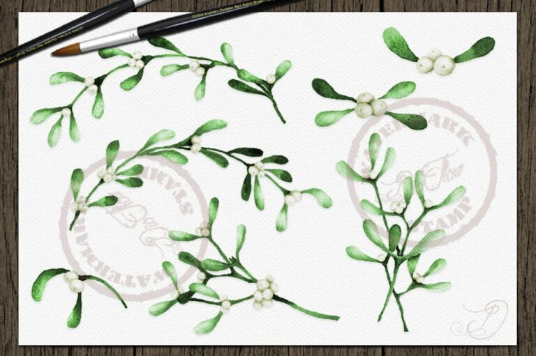 Mistletoe Watercolor Clip Art – MasterBundles