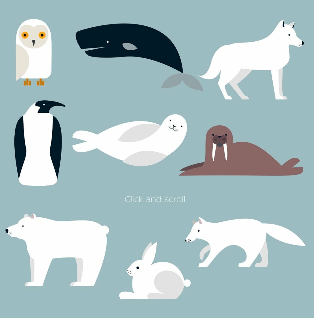 Arctic Animals Vector Collection – MasterBundles