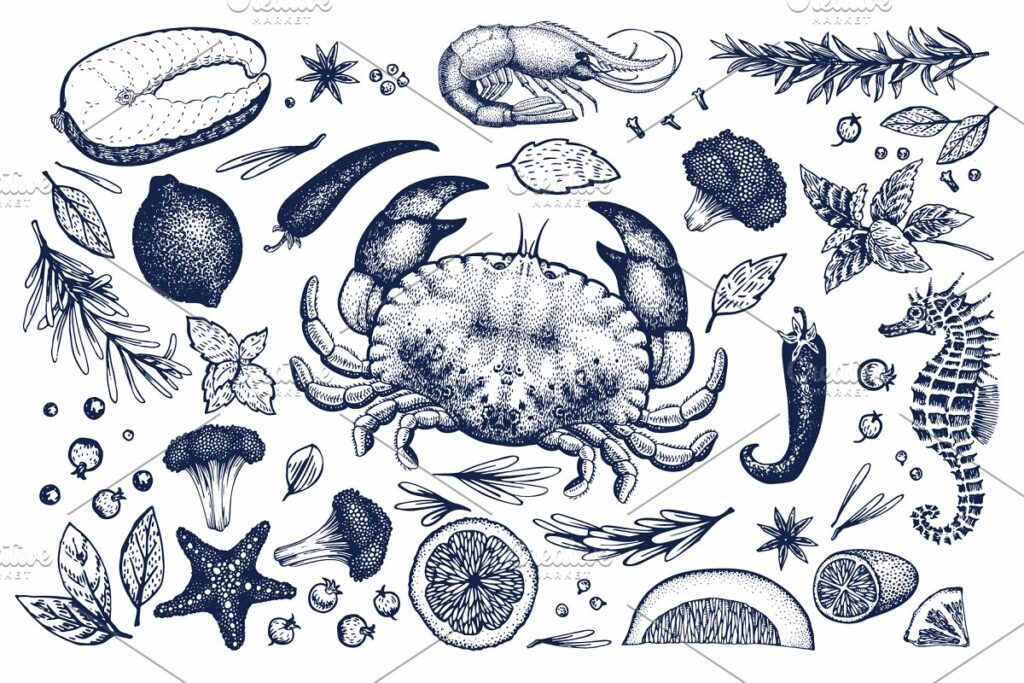 Seafood Vector Collection – MasterBundles