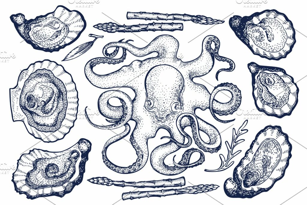 Seafood Vector Collection – MasterBundles