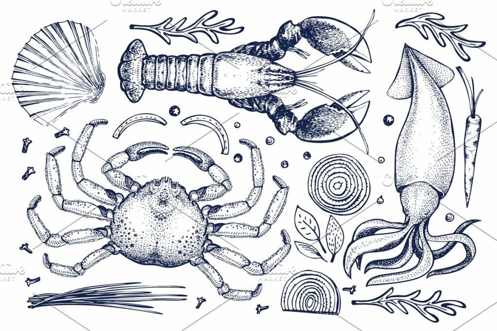 Seafood Vector Collection – MasterBundles