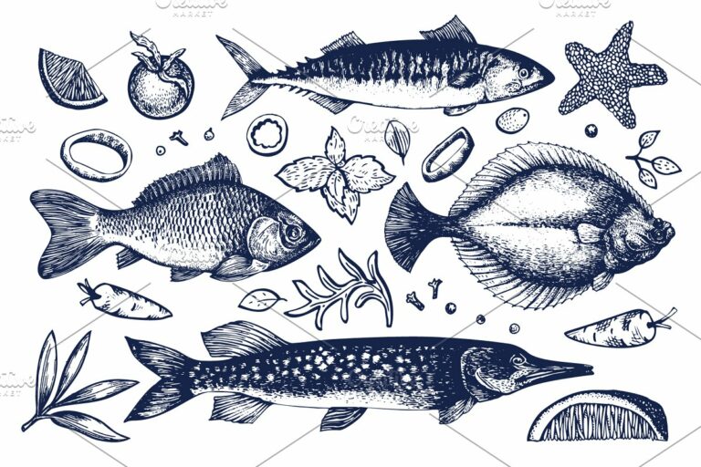 Seafood Vector Collection – MasterBundles