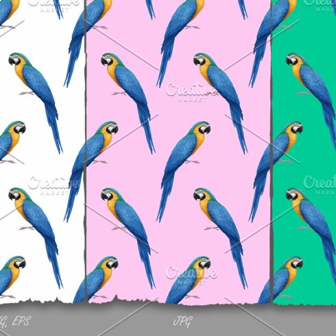 Parrot Pattern Design | Master Bundles