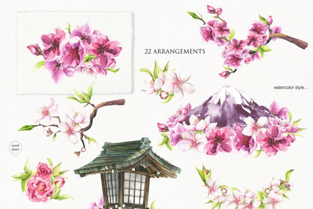 Watercolor & Line Art Sakura Flowers – MasterBundles