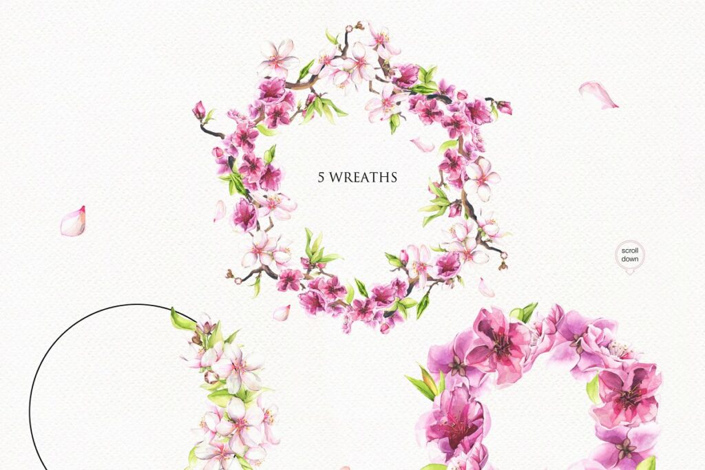 Watercolor & Line Art Sakura Flowers – MasterBundles