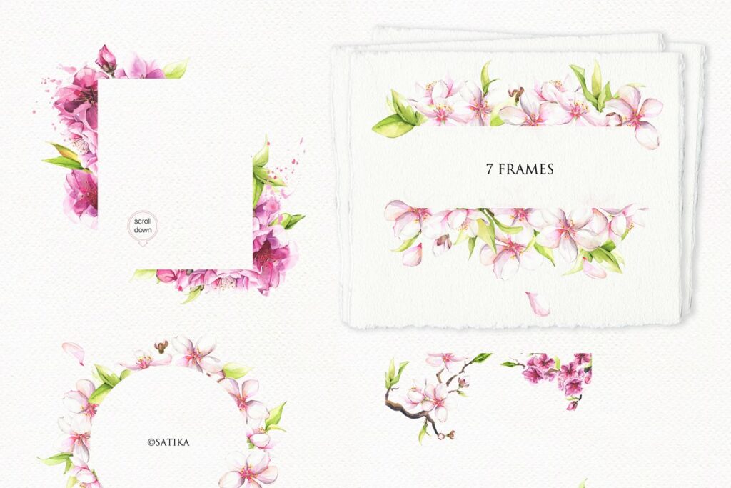 Watercolor & Line Art Sakura Flowers – MasterBundles