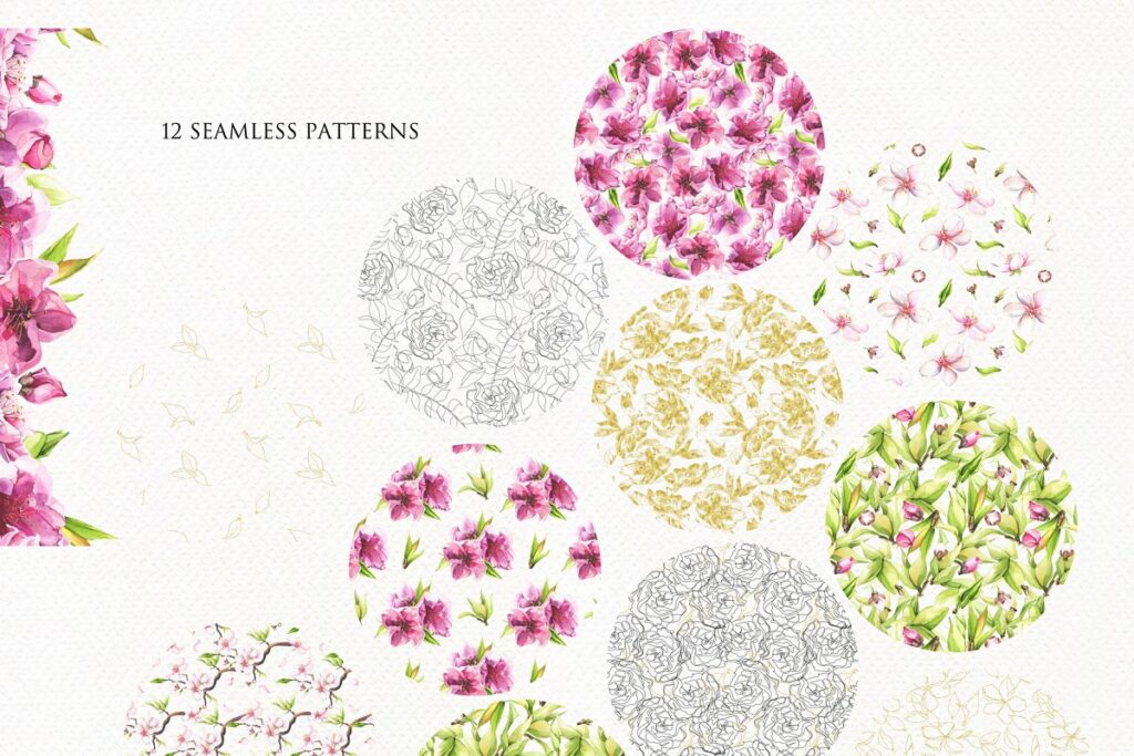 Watercolor & Line Art Sakura Flowers – MasterBundles