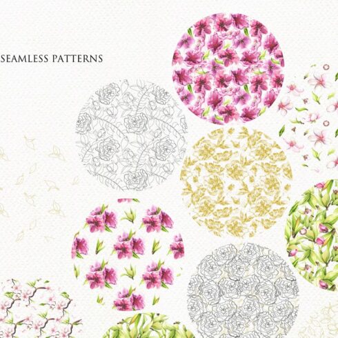 Watercolor & Line Art Sakura Flowers | Master Bundles