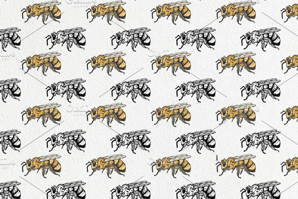 Honey Bees | Master Bundles
