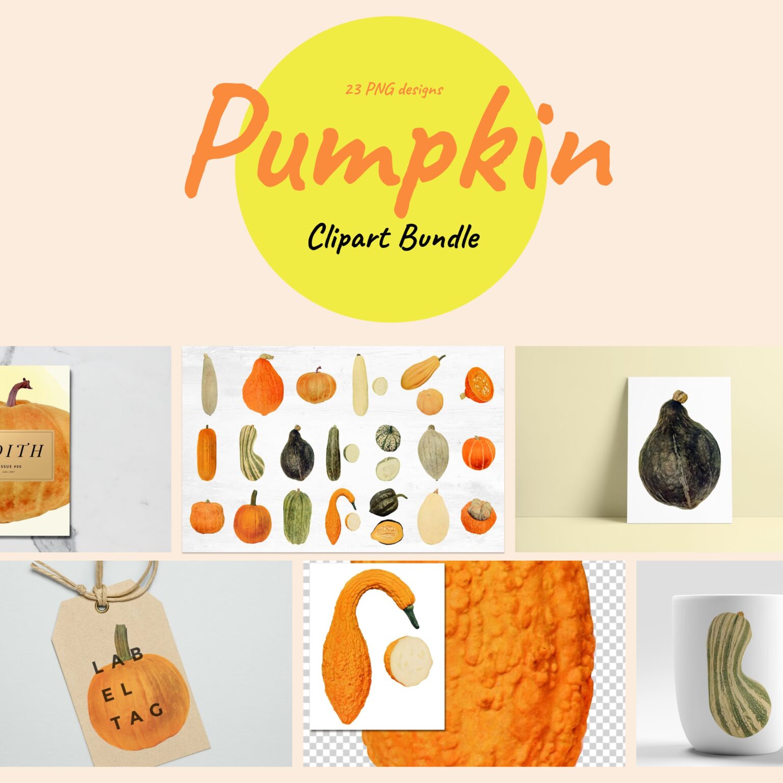 Pumpkin Clipart Bundle (20) – MasterBundles